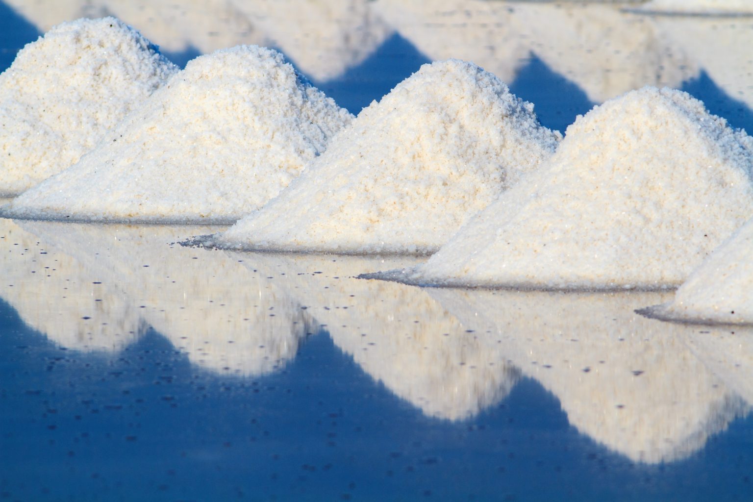 Sodium – Mastering Minerals Series 1 – INTERCLINICAL LABORATORIES PTY LTD