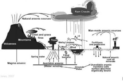 Arsenic – #1 King of Poisons – INTERCLINICAL LABORATORIES PTY LTD
